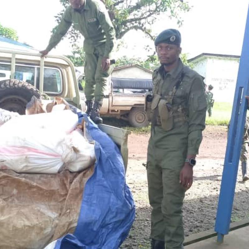 RDC: 1,5 tonnes d'ivoires saisies au Sud-Kivu | Desknature